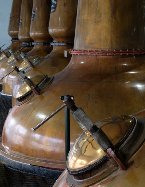Destillation in Pot Stills und Column Stills | BOTTILLERY
